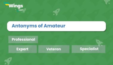 11+ Antonyms of Bold, Meaning and Examples