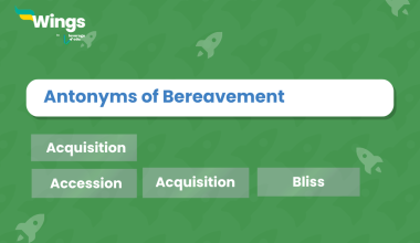 7+ Antonyms of Inferior With Meanings and Examples