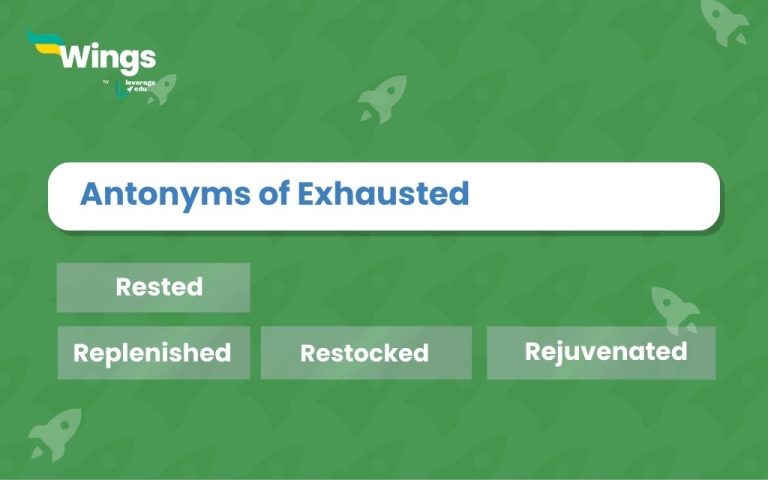 9+ Exhausted Antonyms with Meaning and Examples | Leverage Edu