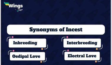 Finite and Non-Finite Verbs Exercises