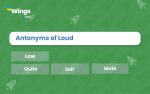 9+ Loud Antonyms with Meaning and Examples | Leverage Edu