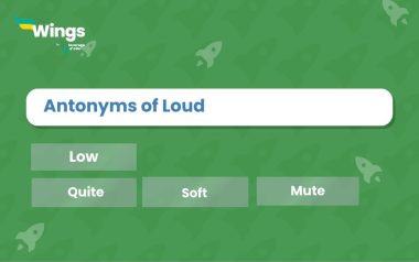 9+ Loud Antonyms with Meaning and Examples | Leverage Edu