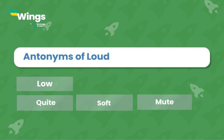 9+ Loud Antonyms with Meaning and Examples | Leverage Edu