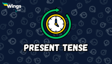 What is Functional Grammar: Learn Definition, Meaning & Examples | Leverage Edu