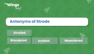 Adverbs of Frequency: Definition, Meaning, Examples & Practise Exercises