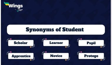 Simple Present Tense Voice: Meaning, Rules, & Examples | Leverage Edu