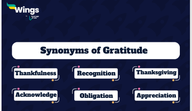 9+ Synonyms of Explore, Meaning, Examples, Quizzes