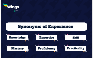 11+ Synonyms of Experience, Meaning, Examples, Quizzes