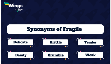 Collective Noun for Geese: Meaning, Synonyms, and Examples | Leverage Edu