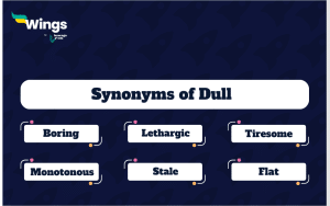 11+ Synonyms of Dull, Meaning, Examples, Quizzes