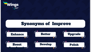 Forming Nouns from Verbs is Now Easy: Know How | Leverage Edu