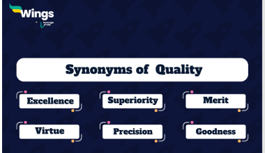9+ Synonyms of Feedback, Meaning, Examples, Quizzes