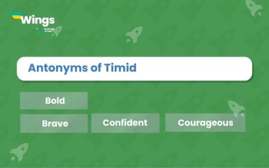 9+ Timid Antonyms with Meaning and Examples | Leverage Edu