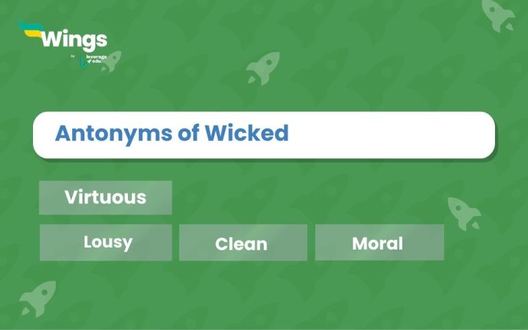 9+ Wicked Antonyms with Meaning and Examples