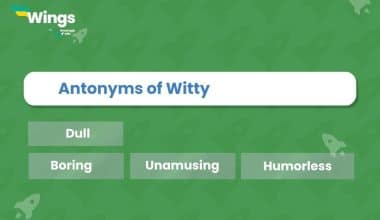 Antonyms of Little with Meaning and Examples | Leverage Edu