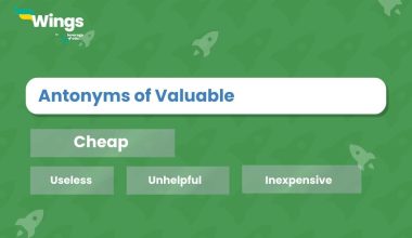 11+ Antonyms of Cheap, Meaning and Examples