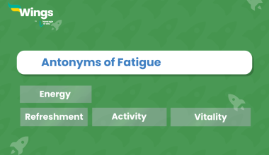 11+ Antonyms of Misogyny with Meaning and Examples | Leverage Edu