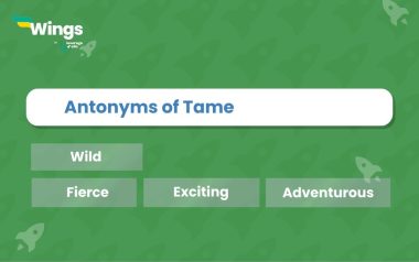 9+ Antonyms of Tame with Meaning and Examples | Leverage Edu