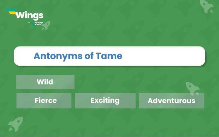 9+ Antonyms of Tame with Meaning and Examples | Leverage Edu