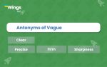 9+ Antonyms of Vague with Meaning and Examples | Leverage Edu