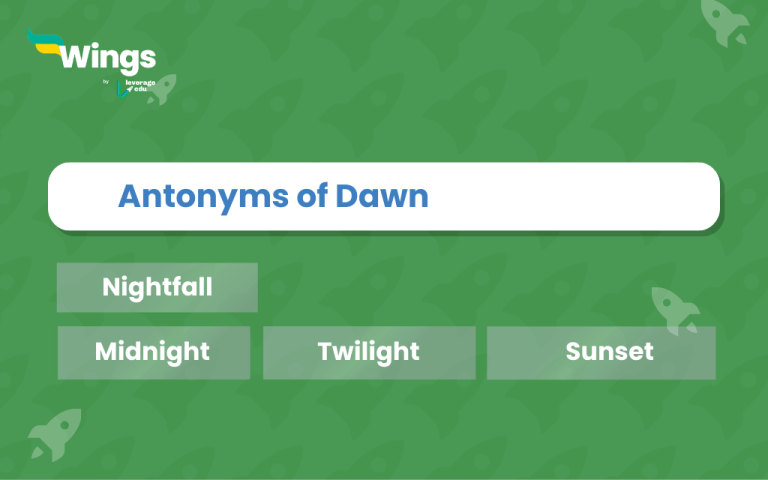 11+ Antonyms of Dawn, Meaning and Examples
