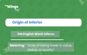 7+ Antonyms of Inferior With Meanings and Examples