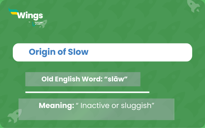 7+ Antonyms of Slow With Meanings and Examples