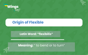 11+ Antonyms of Flexible, Meaning and Examples
