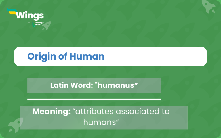 7+ Antonyms of Human with Meanings and Examples