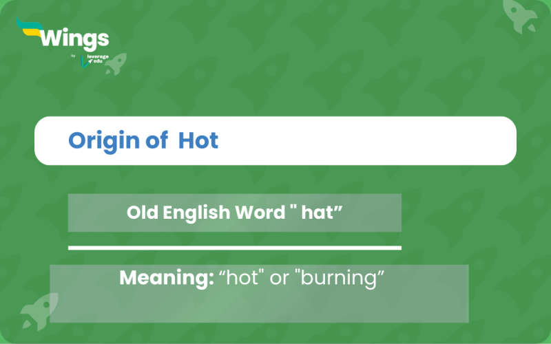 9+ Antonyms of Hot with Examples and Usage