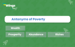 11+ Antonyms of Poverty with Examples and Usage