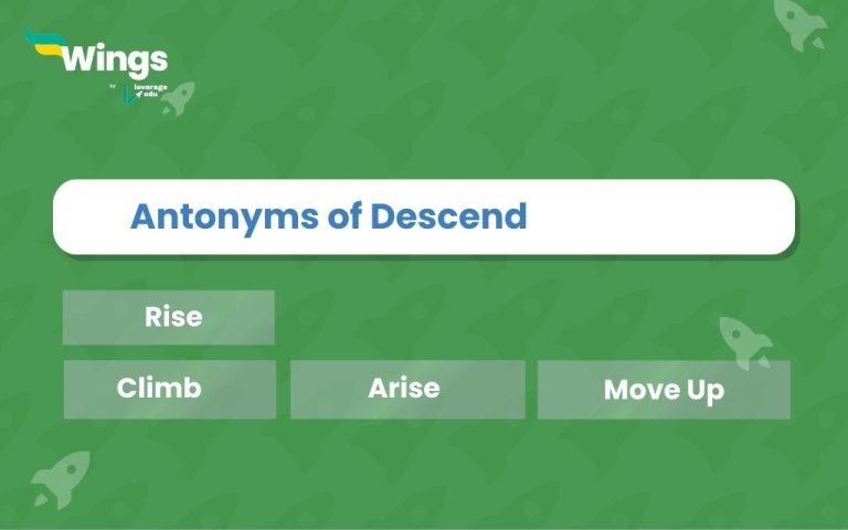 11+ Antonyms of Descend, with Meanings & Examples | Leverage Edu
