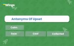 9+ Antonyms of Upset with Meaning and Examples | Leverage Edu