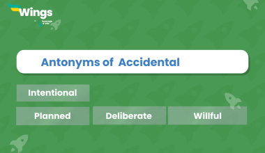 11+ Antonyms of Busy, with Meaning and Examples |Leverage Edu