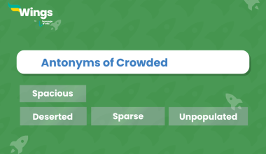 9+ Antonyms of Ordinary with Meanings and Examples