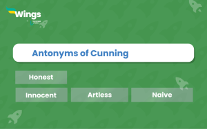 9+ Antonyms of Cunning, Meaning and Examples