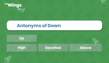 Antonyms of Always with Meaning and Examples | Leverage Edu
