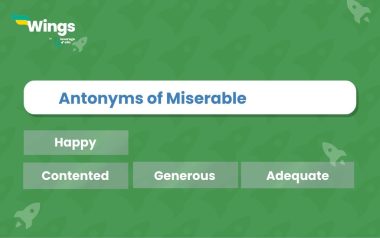 9+ Antonyms of Miserable with Meaning and Examples | Leverage Edu