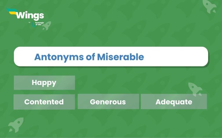 9+ Antonyms of Miserable with Meaning and Examples | Leverage Edu