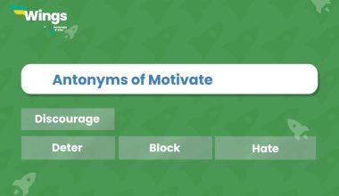 7+ Antonyms of “Expand” with Meaning and Examples |Leverage Edu