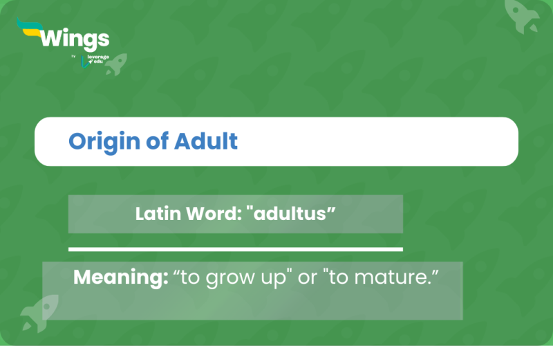 11+ Antonyms of Adults with Meanings and Examples