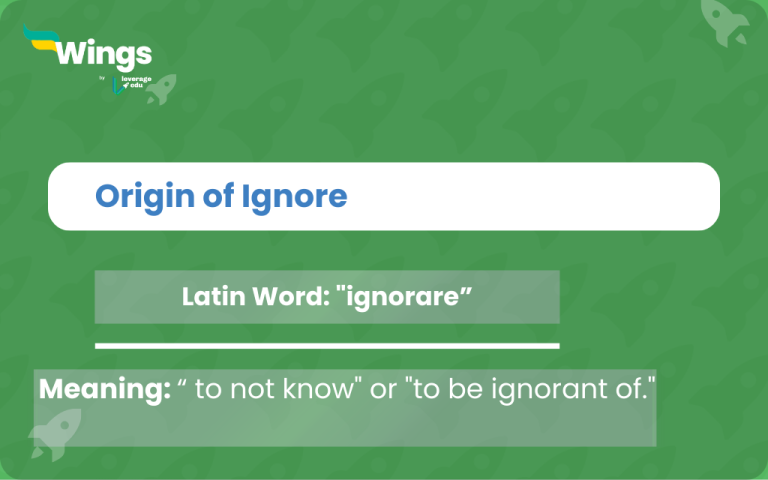 11+ Antonyms of Ignore with Meanings and Examples