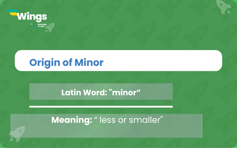 13+ Antonyms of Minor with Meanings and Examples