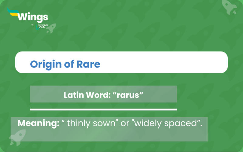 11+ Antonyms of Rare with Meanings and Examples