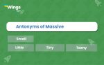 11+ Antonyms of Massive, with Meanings & Example | Leverage Edu