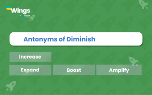 14+ Antonyms of Diminish, Meaning and Examples