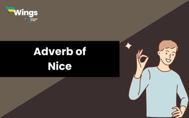 Adverb of Nice: Meaning, Synonyms, Pictures & Examples