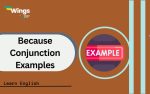 19+ Because Conjunction Examples That You Must Know!