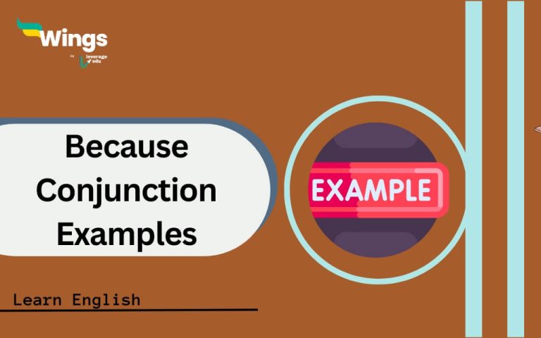 19+ Because Conjunction Examples That You Must Know!
