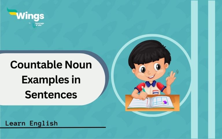 35+ Countable Noun Examples in Sentences
